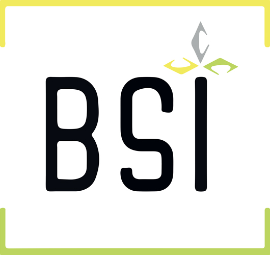 BSI - Services informatiques pour les pros en Bretagne